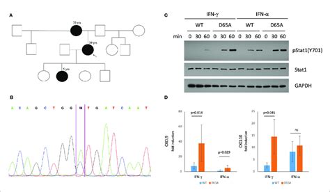 A Stat1 Mutation Identified In Our Patients Causes Stat1