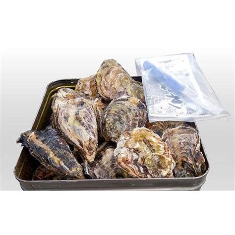ふるさと納税 牡蠣 生牡蠣 石川県 能登かき 殻付き一斗缶 ふるさとチョイス 通販 Yahooショッピング