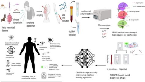 Recent Developments And Future Directions In Point Of Care Next Generation Crispr Based Rapid