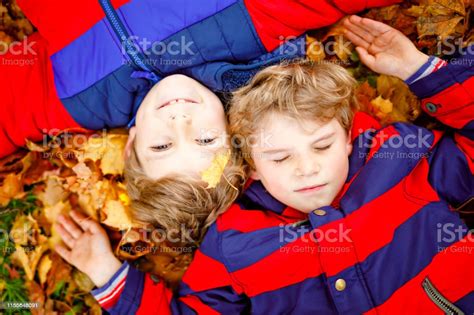 화려한 패션 가을 의류에 단풍에 누워 두 어린 아이 소년 따뜻한 날에 가을 공원에서 즐거운 건강한 형제 자매 귀여운 소년과 가장 친한 친구는 웃고 웃음 2명에 대한 스톡