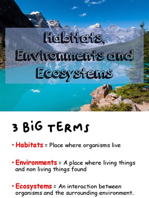 Exploring Habitats Environments Ecosystems And Their Interactions