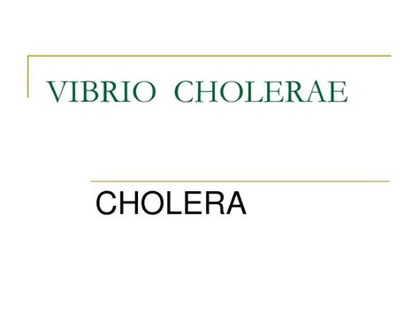 Ppt Vibrio Cholerae Powerpoint Presentation Free Download Id 1724926