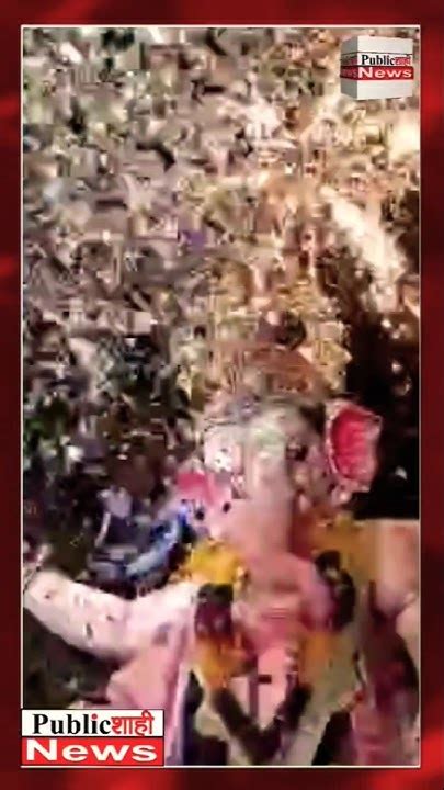 पनवेल मध्येही गणेश विसर्जनाच्या उत्साह शिगेला Ganpati Shorts