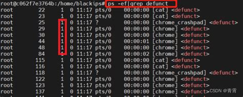 解决 Docker Selenium Chromedriver Chrome 会出现僵尸进程的问题chromedriver怎么
