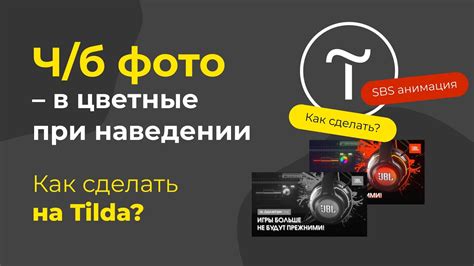 Как сделать чб фото цветным при наведении в Zero Block тильда Простая