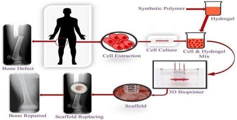 Three Dimensional Scaffolds For Bone Tissue Engineering
