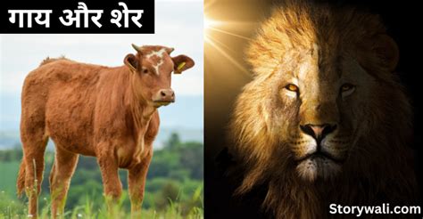 गाय और शेर Panchtantra Story In Hindi Story Wali