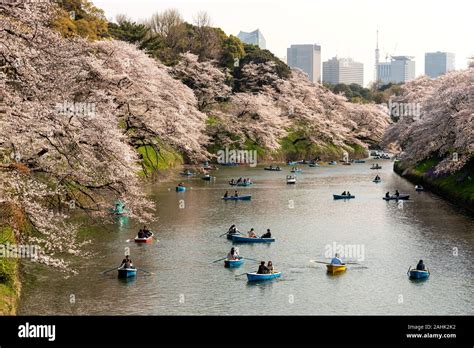 April 6 2019 Cherry Blossoms Know As Sakura And Boats Around