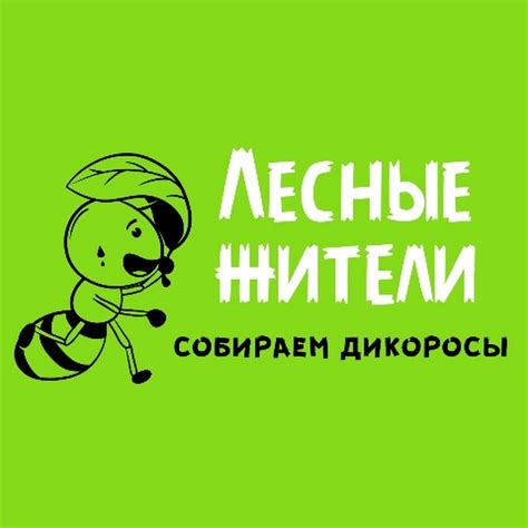 Лесные Жители проект из деревни Youtube
