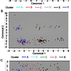 Cluster Plots