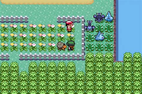 Are Shiny Roaming Pokemon Visible On The Overworld In Pokemon Emerald Rogue Arqade