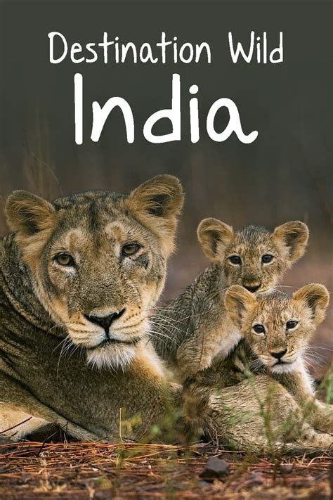 Destination Wild India Tv Series 2024 Posters — The Movie