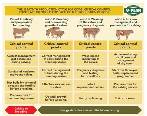 A Herd Health And Production Management Plan