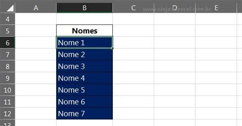 o que é colar especial no excel e para que serve ninja do excel