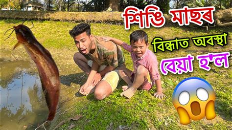 মাছ ধৰিব গৈ শিঙি মাছৰ বিন্ধা খাই অবস্থা বেয়া হল 😭😱 Youtube