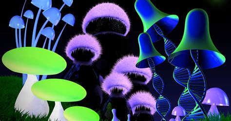 This Fungus Could Help Cure Cancer Bloomberg