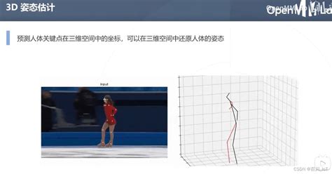 人体关键点检测与mmpose人体关键点标注重叠 Csdn博客