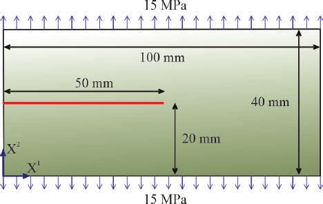 Dynamic Crack Branching In FGMs Geometry And Loading Conditions