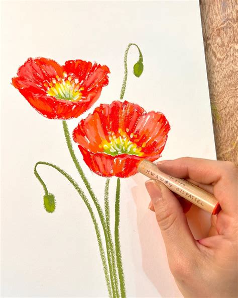 렌토랜드ㅣ오일파스텔 𝙤𝙥𝙞𝙪𝙢 𝙥𝙤𝙥𝙥𝙮 정규클래스를 위해 쉽게 그리는 방법을 연구하면서 자료를 만들고 있어요 꽃의 구조를