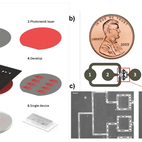 Microfluidic Device For High Throughput Production Of Monodisperse Gel