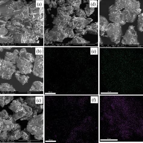 Scanning Electron Micrographs Edx Energy Dispersive X Ray Of