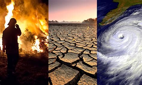 La Advertencia Científica Sobre El Riesgo De La Extinción Humana Por