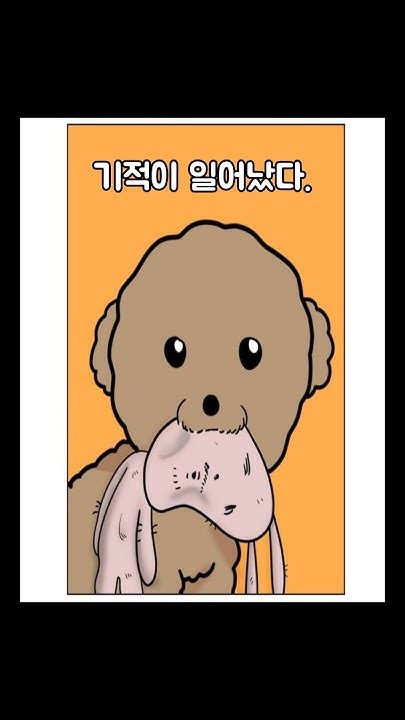 반려견을 키우는 주인들의 공통적인 소원 네이버웹툰 마루는강쥐 추천작 반려견 사랑스러움 만화 드만영 Youtube