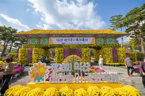 익산 천만송이 국화축제 정원형 축제 전환 추진 노컷뉴스
