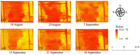 Predicted Spad Values Using The Random Forest Rf Model At Different