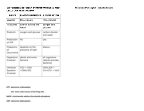 SOLUTION Difference Between Photosynthesis And Cellular Respiration Studypool