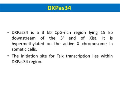 X Chromosome Inactivation Pptx