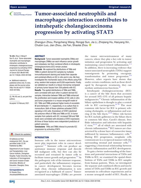 Pdf Tumor Associated Neutrophils And Macrophages Interaction Contributes To Intrahepatic