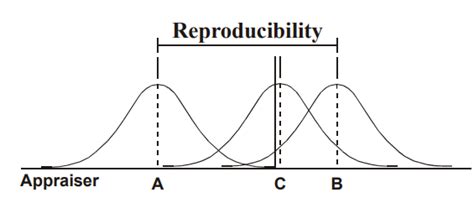 Width Variation Mohammad Ghaemi