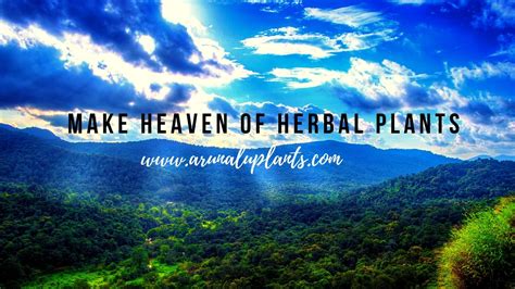 National Crafts Council National Crafts Council Ncc