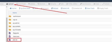 Cara Upload File Ads Txt Di Wordpress Pram Eko
