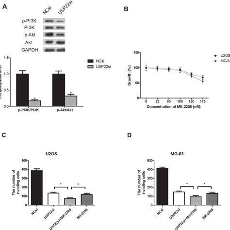 Downregulation Of Usp22 Inhibited Os Tumor Growth And Metastasis In