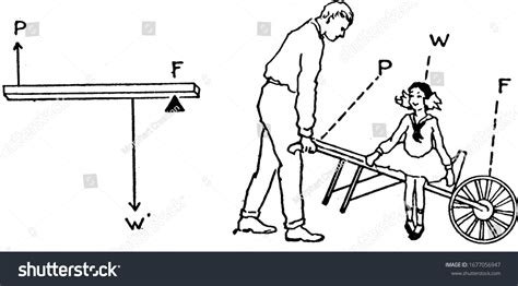 Best Example Second Class Lever Royalty Free Images Stock Photos Pictures Shutterstock