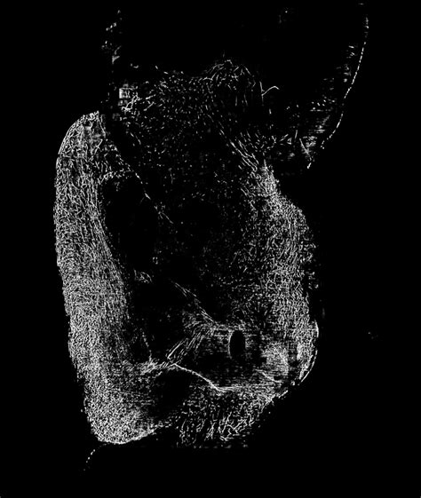 Github Denardolab Deeptrace Deep Learning Based Pipeline For