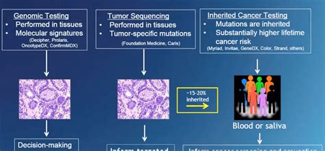 Genetic Tests Prostate Cancer And Its Inheritance Healthy Food Near Me