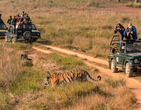 Wildlife Safari At National Chambal Sanctuary Banbanjara