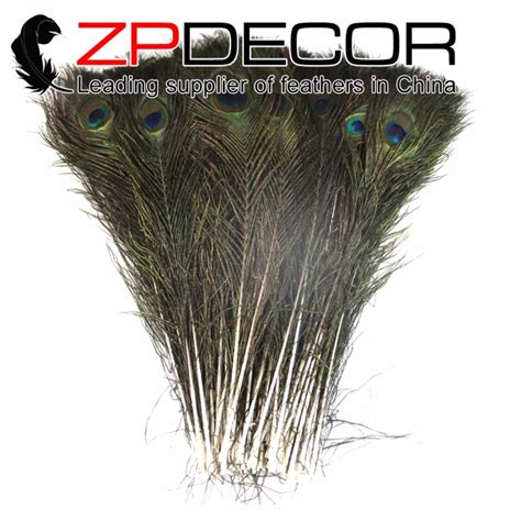 Zpdecor 50pcslot 25 30cm12 14inch Hand Select Natura Peacock