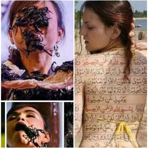 باشگاه و تازه کار