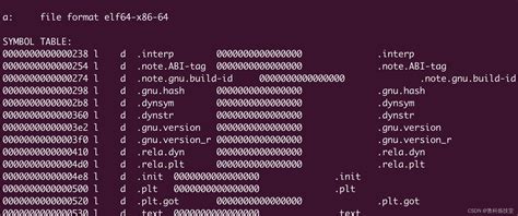 Linux 二进制分析 Linux环境和工具（chapter 1file Format Elf64 Little Csdn博客
