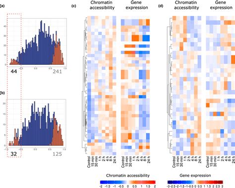 Functional And Comparative Genomics Reveals Conserved Noncoding