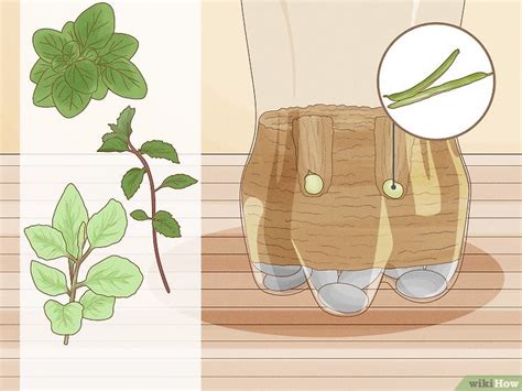 How To Create An Ecosystem In A Bottle 3 Unique Ways