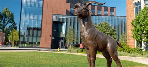 Wpi Has Stopped Publishing Graduation Outcomes Rwpi