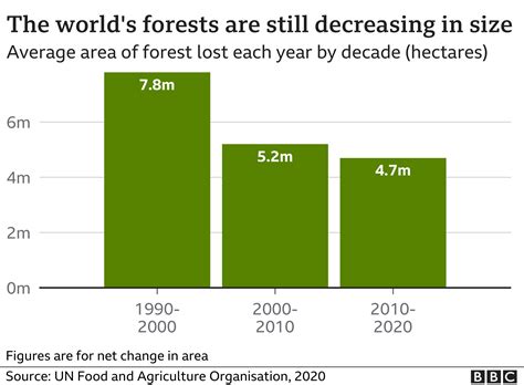 Deforestation Which Countries Are Still Cutting Down Trees Bbc News