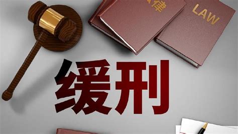 深圳走私罪单位犯罪量刑标准与适用缓刑最新量刑标准 哔哩哔哩