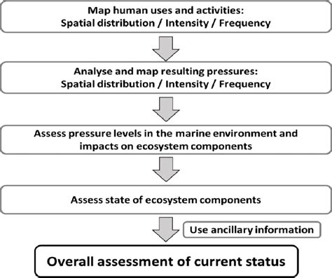 Integrated Assessment Framework Download Scientific Diagram