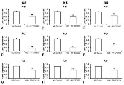 Gene Expression Of The Osteoblastic Markers Alkaline Phosphatase Alp